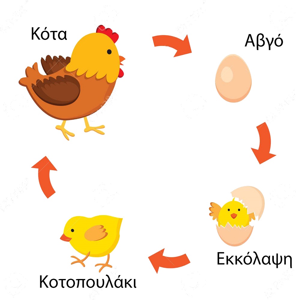 Ποιος έκανε το αβγό; – Ανδρονίκη, η νηπιαγωγός.